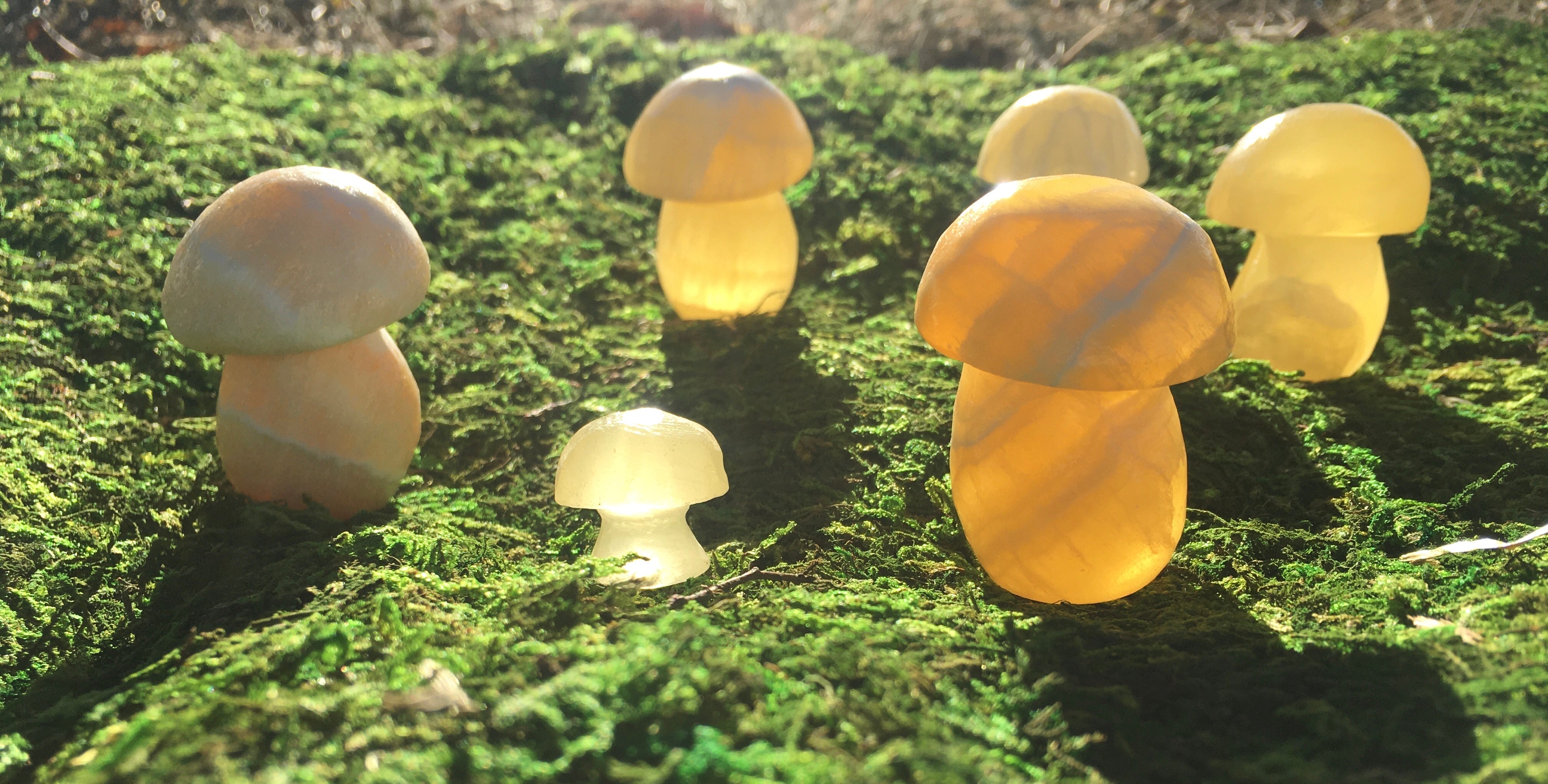 Mushrooms – Peaceful Stone Lights